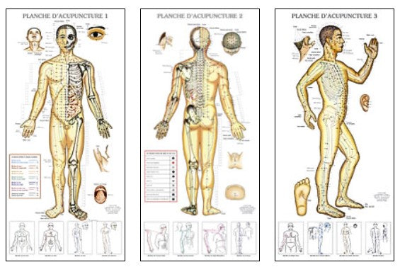 planches-d-acupuncture-et-meridiens-pliees-3